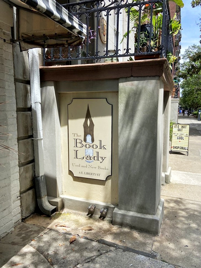 Welcome to book paradise! This unassuming entrance is your portal to a world of literary wonders and feline friends.