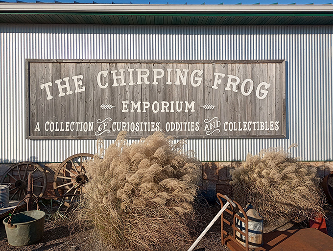 The Chirping Frog: Where curiosities croak and collectibles sing. Indiana Jones meets Antiques Roadshow in the heart of Illinois!