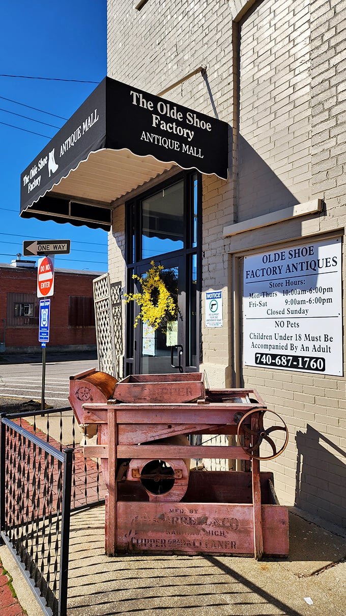 Welcome to wonderland! This entrance isn't just inviting; it's practically daring you not to explore the treasures within. Challenge accepted!