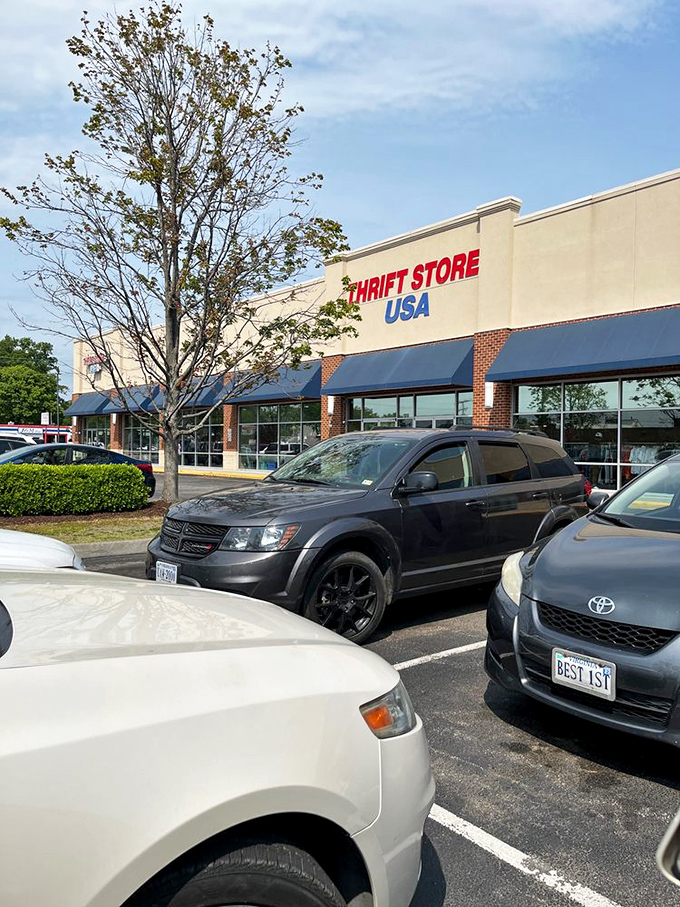 Giraffe-ic park meets thrift paradise! Even long-necked friends can't resist these towering savings.