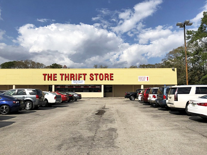 Thrift store or time machine? Step through these doors and emerge with armfuls of nostalgia, unexpected treasures, and lighter wallets.
