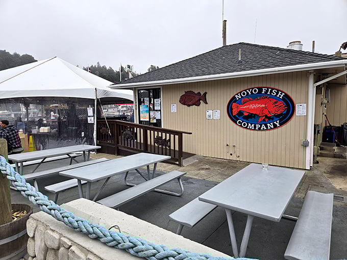 The final frontier of flavor! Noyo Fish Company's outdoor seating area is where seafood dreams come true, one bite at a time.