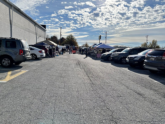 The hunt begins! This parking lot transforms into a bargain bazaar where one person's castoffs become another's prized possessions.