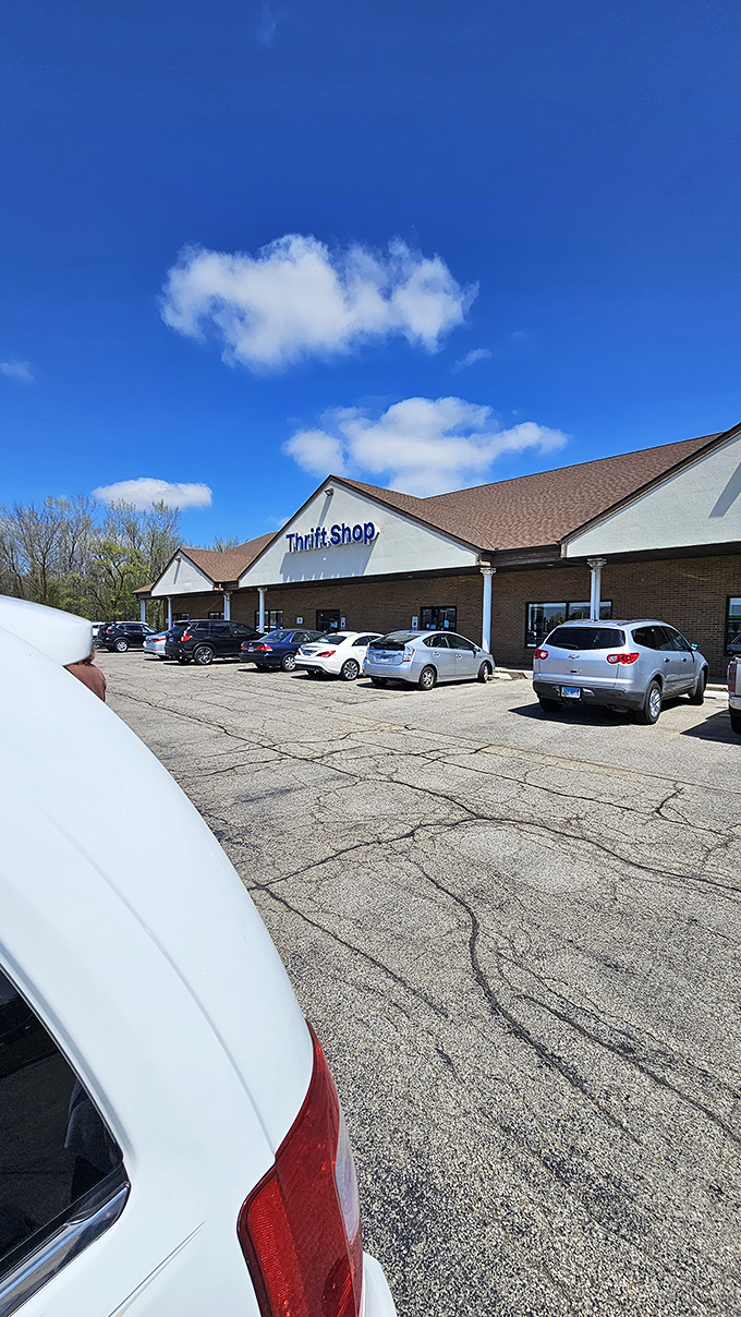 Park your expectations at the door. This lot is full of cars belonging to savvy shoppers on a quest for hidden gems.