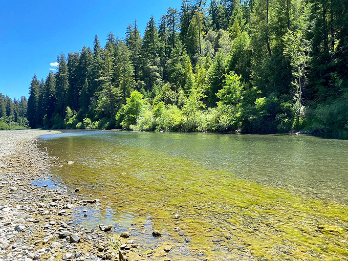 Crystal clear and oh so serene. This river view is like nature's version of a meditation app &ndash; just add some gentle forest sounds.