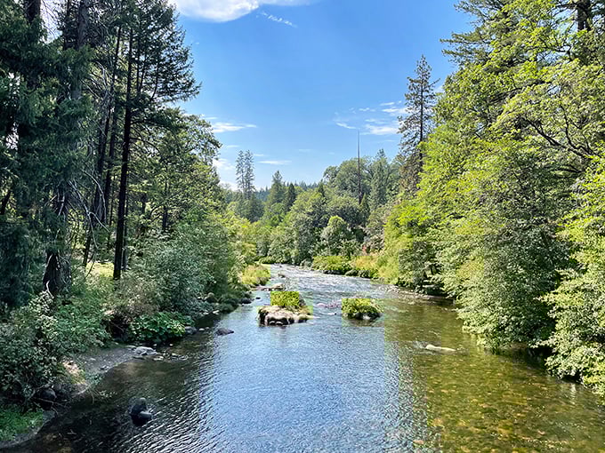 A river runs through it, carving its path through the verdant landscape. Nature's own lazy river, no inner tube required.