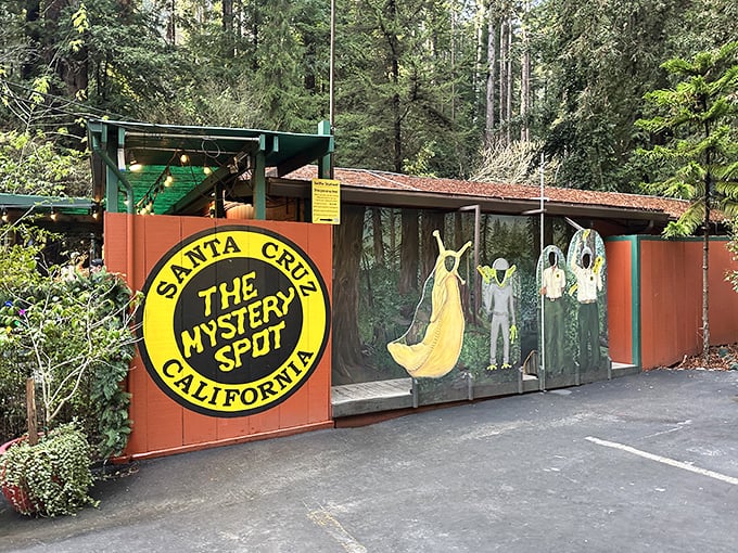 Welcome to the twilight zone of Santa Cruz! This sign marks the spot where normal takes a holiday.