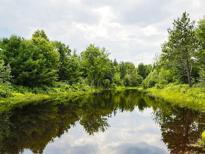 Mirror, mirror on the water. This serene scene reflects the true beauty of Maine's wilderness &ndash; doubled for your viewing pleasure.