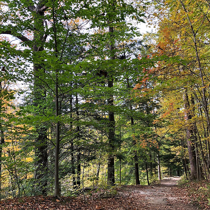 Follow the leafy road! This picturesque trail leads to adventures that'll make Dorothy's yellow brick path seem boring.