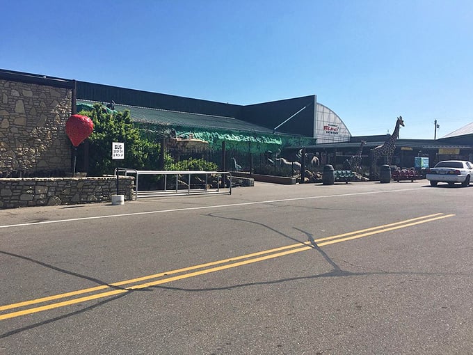 Jurassic Park meets grocery store? Those dinos look hungry &ndash; good thing there's plenty of food inside!