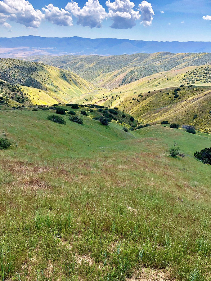 Hills that'll have you yodeling 'The hills are alive&hellip;' Julie Andrews, eat your heart out!