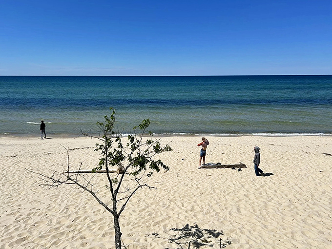 Sandy family fun: This beach scene proves you don't need tropical waters for a perfect day of sun, sand, and splashing.