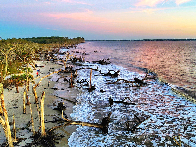 Bird's eye bliss: From up here, Driftwood Beach looks like nature's own game of pick-up sticks. Let the good times roll!
