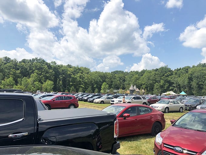 The only place where you'll find Teslas parked next to invisible horses. Time travel has never been so convenient!