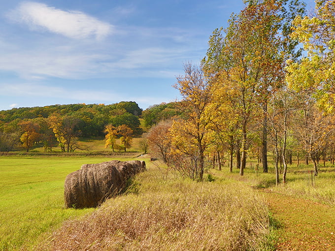 Autumn in Fort Ransom: Where the trees put on a fashion show that would make New York Fashion Week green with envy. Hay bale for scale.