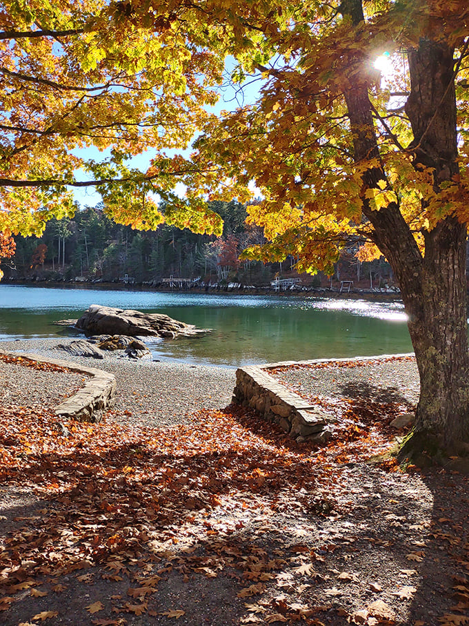 Autumn's grand finale: Fall foliage meets crystal waters in a display that puts Vegas light shows to shame. Nature, you've outdone yourself!