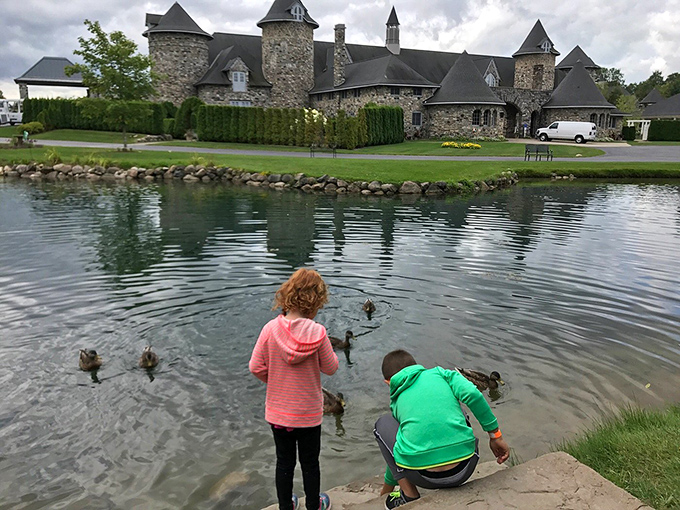 Feeding time at the royal pond! These lucky ducks have the best view in town, dining al fresco with a castle backdrop.