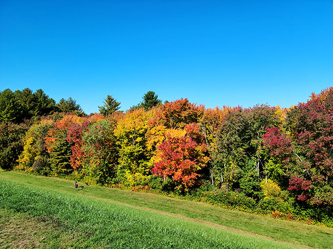 The path less taken: A trail so inviting, it makes you want to cancel your gym membership and hike your way to fitness.