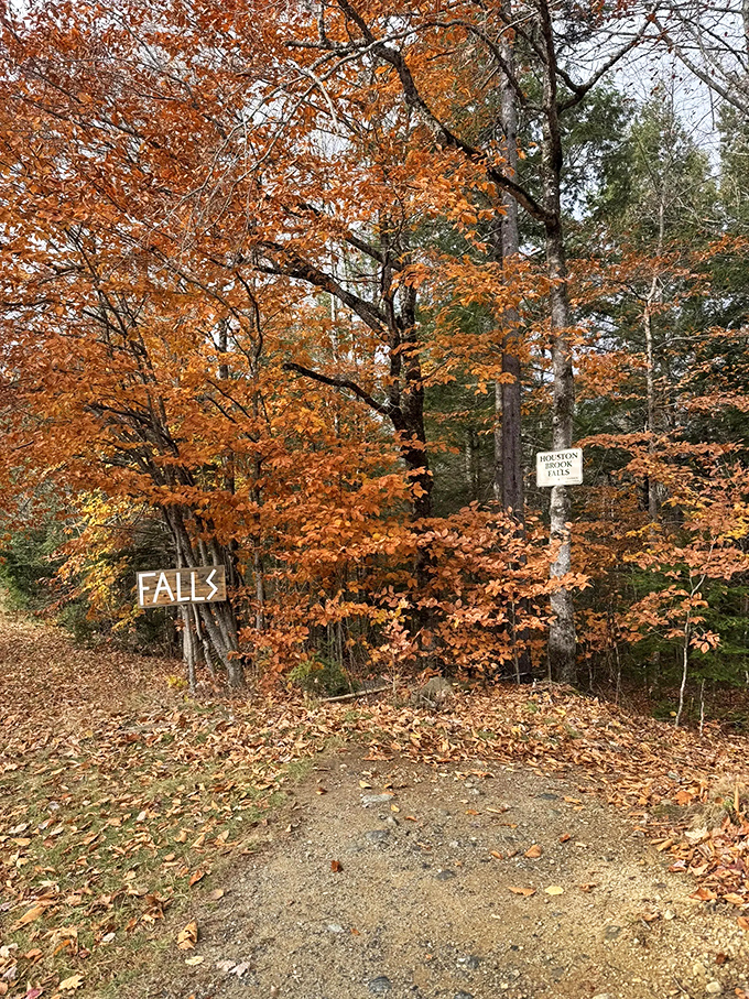 Fall foliage meets falling water. Autumn paints Houston Brook Falls in a palette that would make Bob Ross proud.