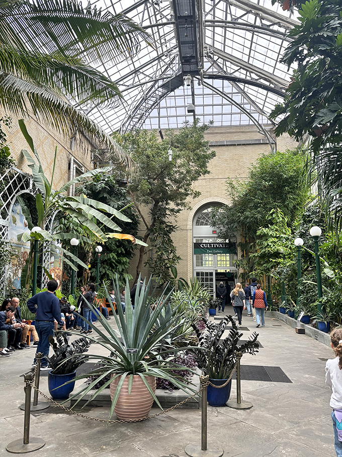 Jurassic Park meets botanical wonderland in this lush conservatory. Watch out for velociraptors hiding behind the ferns!