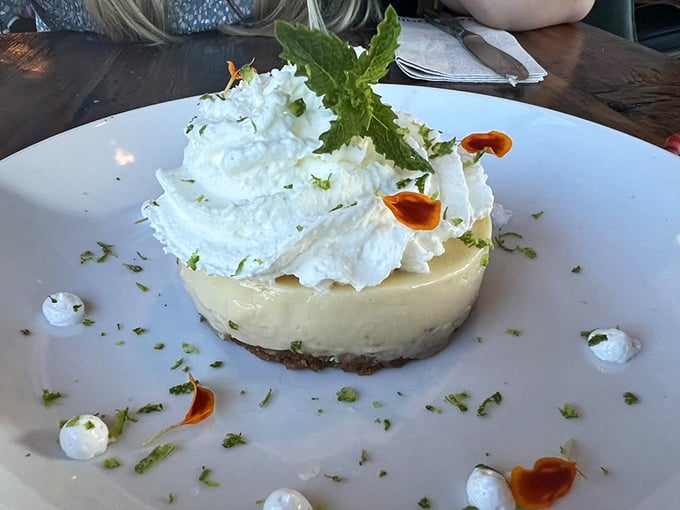 A slice of key lime heaven! This dreamy dessert is like a tropical vacation for your mouth &ndash; tangy, sweet, and topped with clouds of whipped cream.