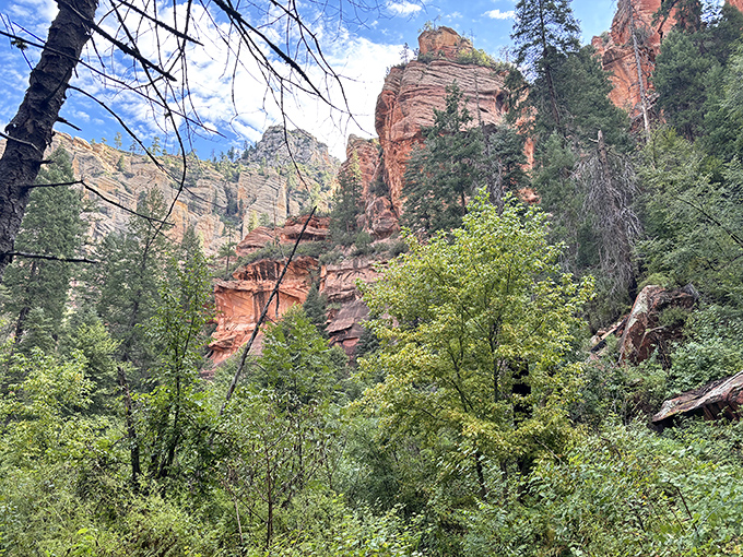 Is it just me, or does that mountain look like it's flexing? Mother Nature's been hitting the gym, and it shows!