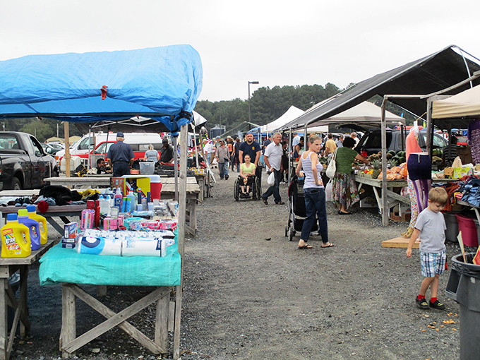 The great outdoors meets great deals! This outdoor sale is proof that some of the best treasures are found under the open sky. Happy hunting!