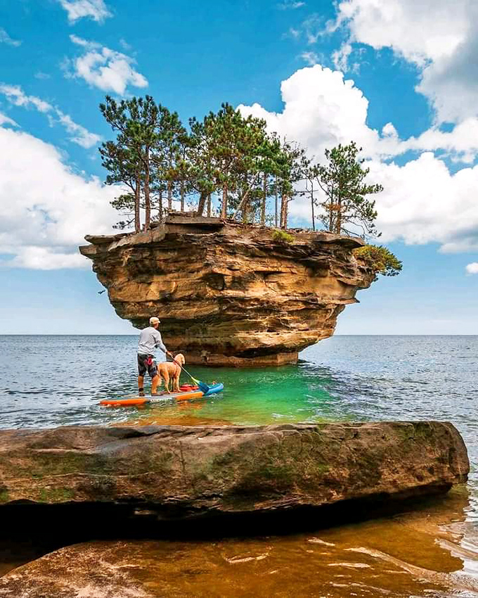 Who let the dogs out? On Lake Huron, even our four-legged friends can appreciate a good paddle and rock formation.