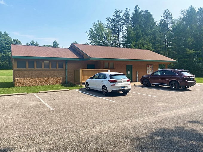 Parking with a view: Where even your car gets to enjoy a slice of nature. Just remember, trees don't take kindly to honking.