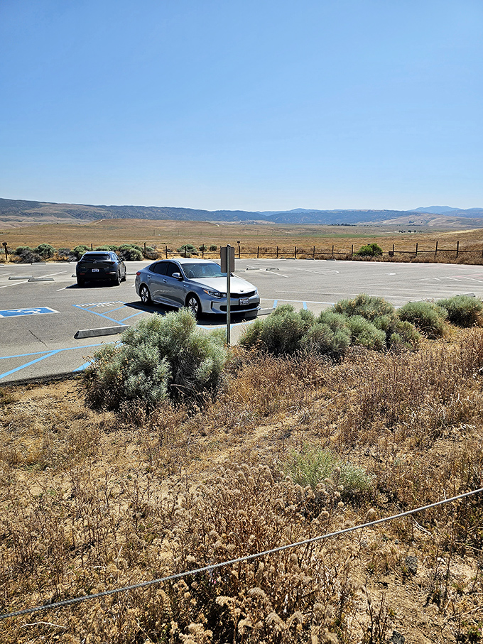 Park here for a petal-to-the-metal experience! Even the parking lot offers a taste of the floral feast that awaits.