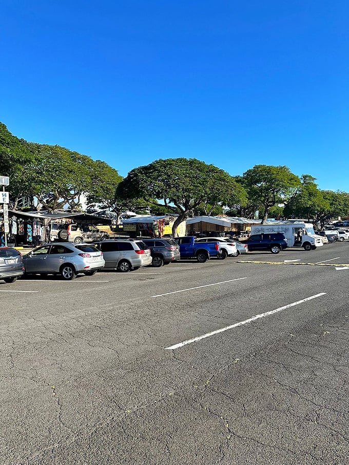 Parking lot or promised land? This asphalt expanse is where shopping dreams begin. Brace yourself for a retail rollercoaster that puts Disneyland to shame!