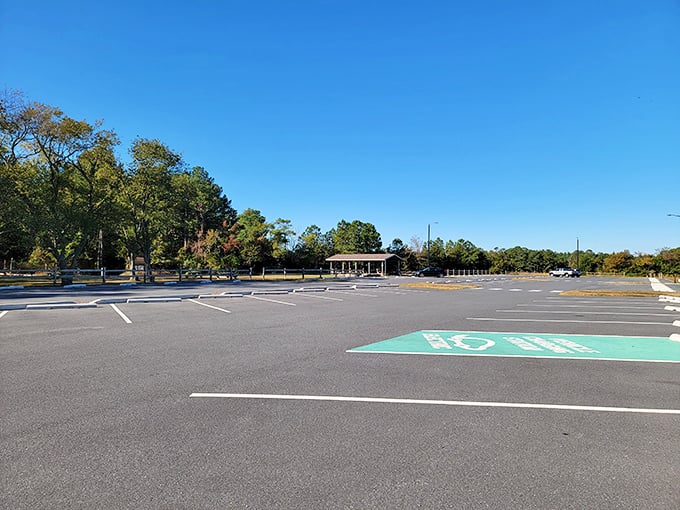 Parking with a view: The only lot where you'll be tempted to tailgate with Mother Nature as your host.