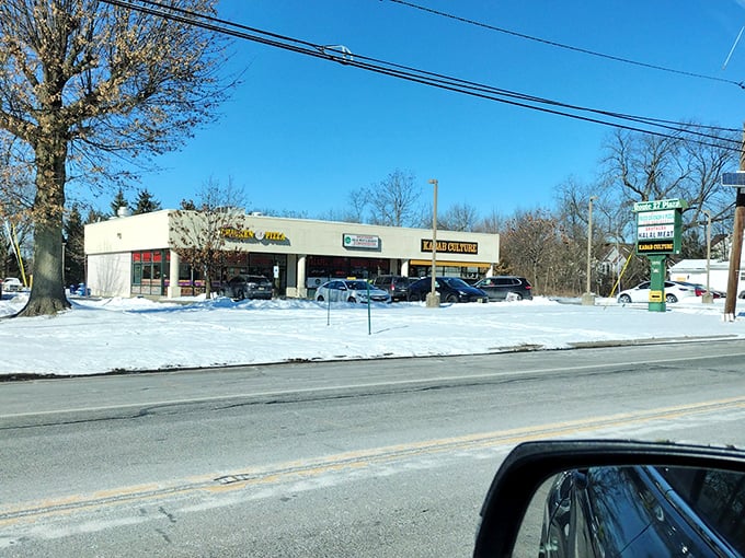 Parking lot of dreams! This unassuming space is where food fantasies begin. Pull in, park, and prepare for a flavor adventure!