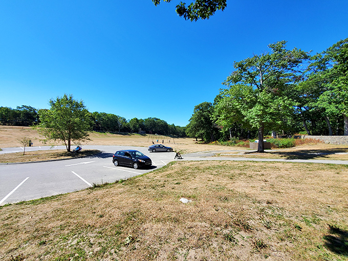 Parking with a side of history! Pull up, step out, and prepare for a journey through time. No DeLorean required for this adventure!