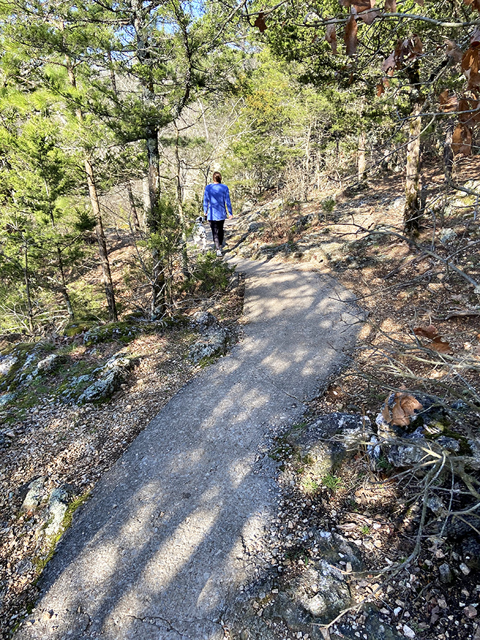 Hiking: where "taking a walk" gets an exciting makeover. Just don't expect your dog to appreciate the view.
