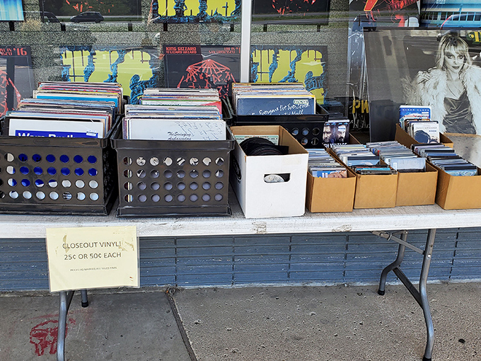 Bargain bin bonanza! These discounted vinyls are proof that one man's castoff could be your next musical obsession.