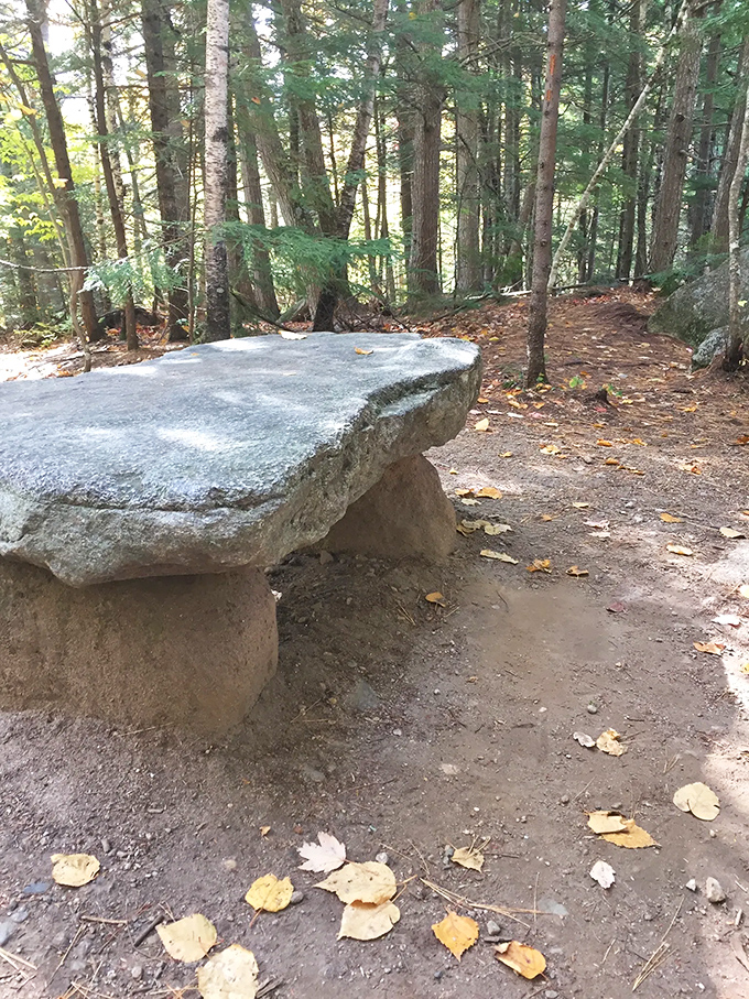 Nature's own park bench. Perfect for resting, contemplating life, or pretending you're King Arthur pulling Excalibur from the stone.