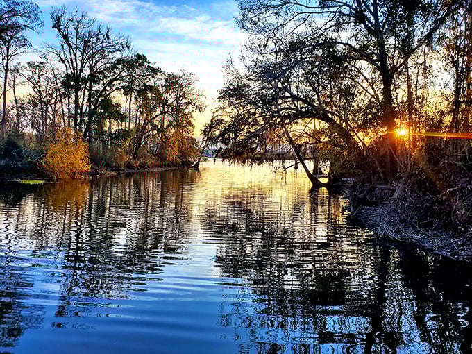 Nature's light show that puts Vegas to shame. This sunset is serving up some serious "Golden Hour" realness.