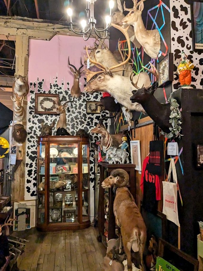 It's a jungle in here! This taxidermy menagerie is like Noah's Ark meets Tim Burton &ndash; a whimsical twist on the circle of life.