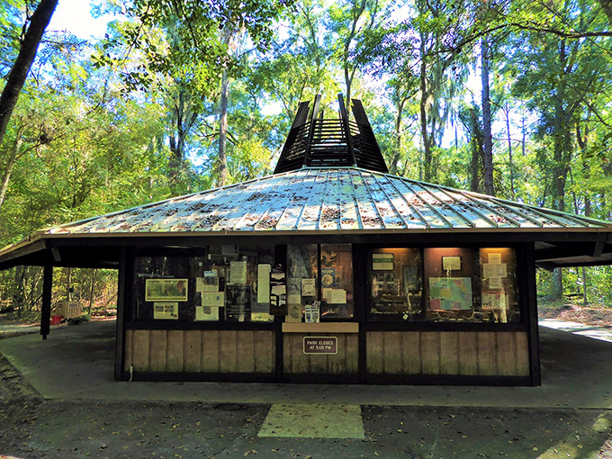 Part information booth, part time machine. Step up and buy your ticket to a journey through Florida's prehistoric past!