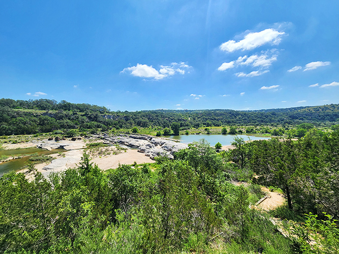 Bird's eye bliss! From up here, the park looks like a painter's masterpiece. Bob Ross would be proud of these happy little trees.