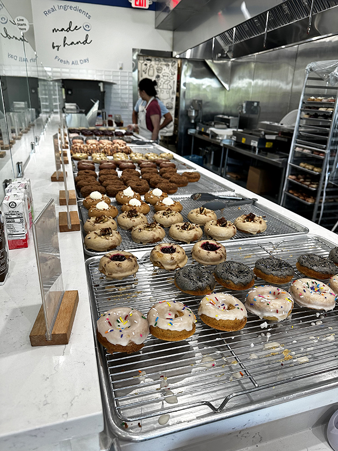 A rainbow of flavors awaits! From classic glazed to wild creations, this donut lineup is like a Pantone color chart for your taste buds.
