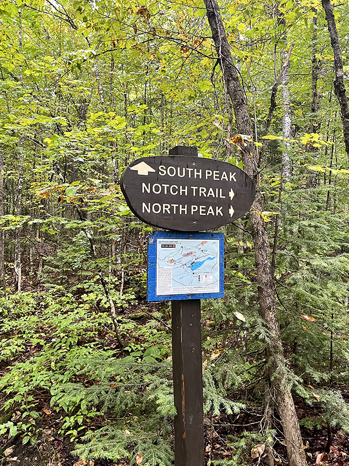 Choose your own adventure: South Peak for the go-getters, North Peak for the "I'll get there eventually" crowd.