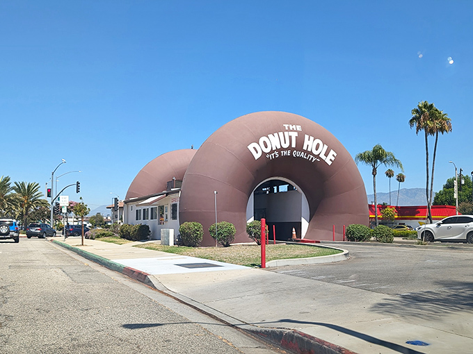 A sight for sore eyes and hungry stomachs! The Donut Hole stands as a delicious landmark in a sea of ordinary architecture.