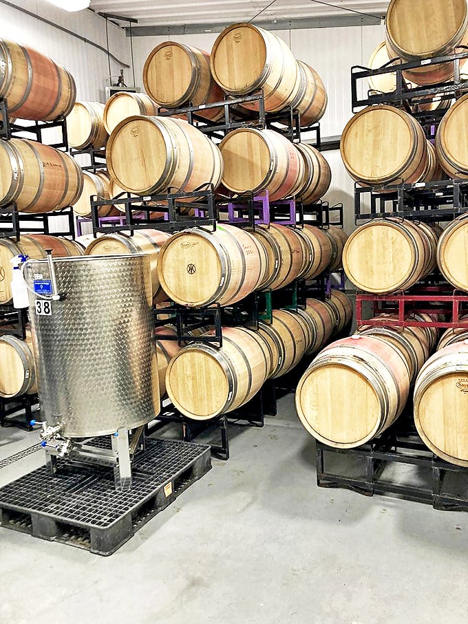 Barrel room or time machine? Either way, you're in for an intoxicating journey through the art of winemaking.