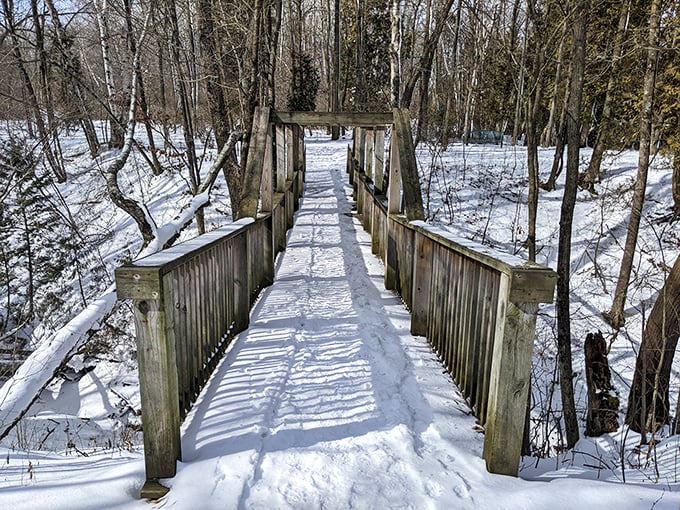 Winter's white blanket transforms the preserve into a scene straight out of Narnia. Mr. Tumnus sighting not guaranteed.