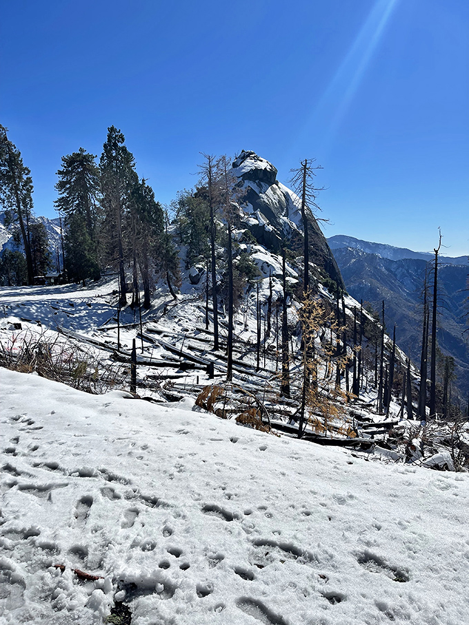 Jack Frost nipped at Moro Rock's nose, turning this summer hiker's paradise into a winter wonderland fit for snow angels and sequoia selfies.