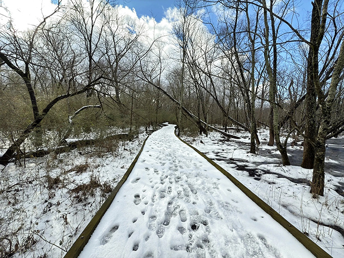 Winter wonderland meets "Toy Story" gone rogue. Even under a blanket of snow, this trail promises an adventure that's anything but ordinary.