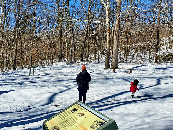 Ice Age: Missouri Edition: When winter blankets the park, it's like stepping onto the set of a chilly prehistoric blockbuster.