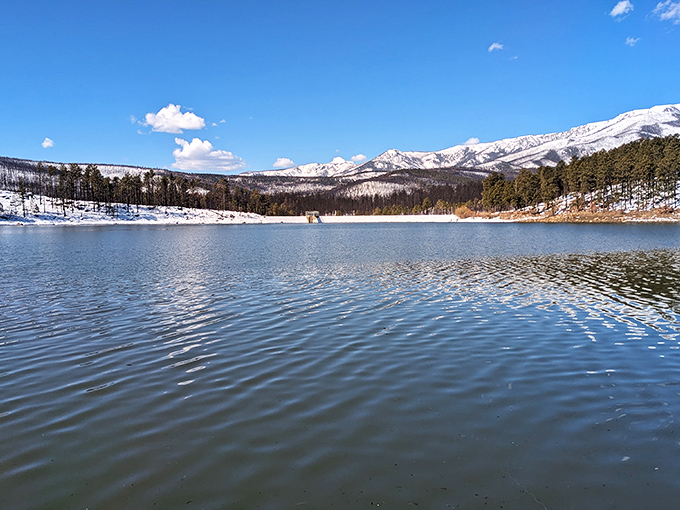 Winter wonderland or spring break for polar bears? Morphy Lake State Park in winter is a frosty paradise that would make Elsa jealous.